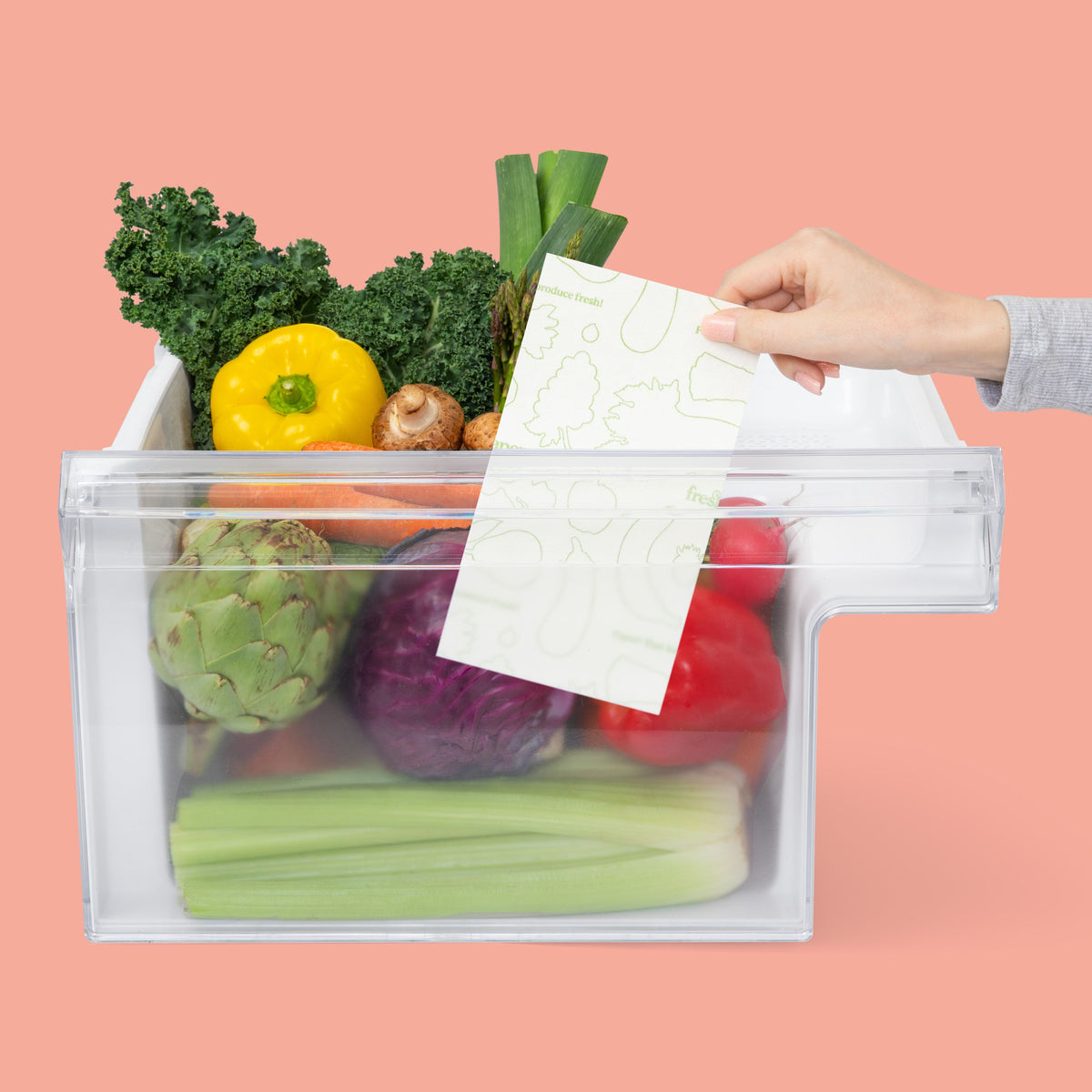 Multi-Pack Bundle: FreshPaper Produce Saver Sheets (XL Pick-A-Size ...