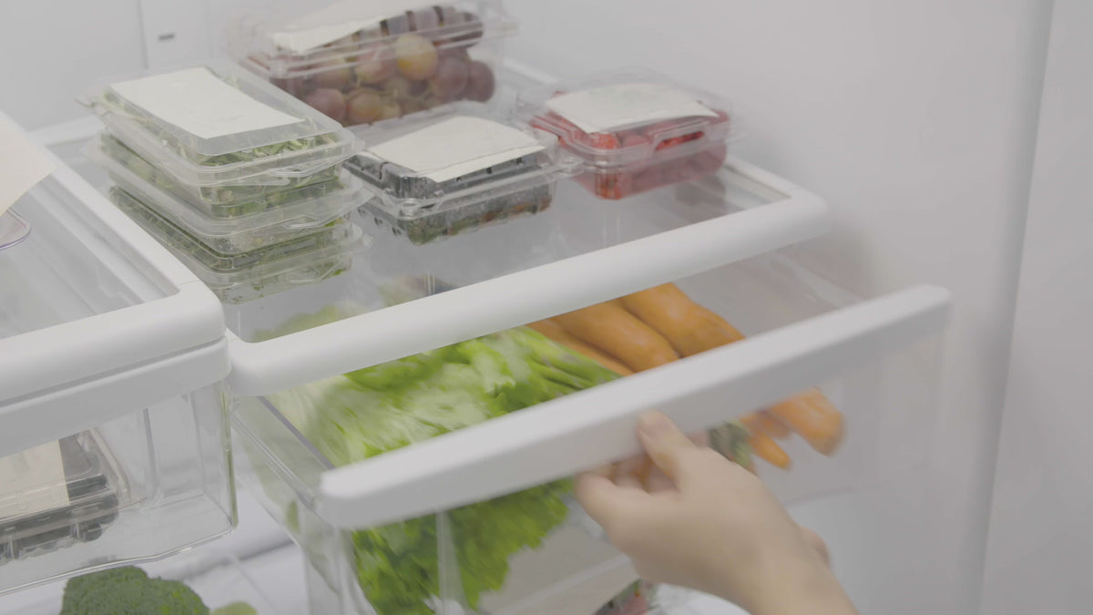 Multi-Pack Bundle: FreshPaper Produce Saver Sheets (Standard Size ...